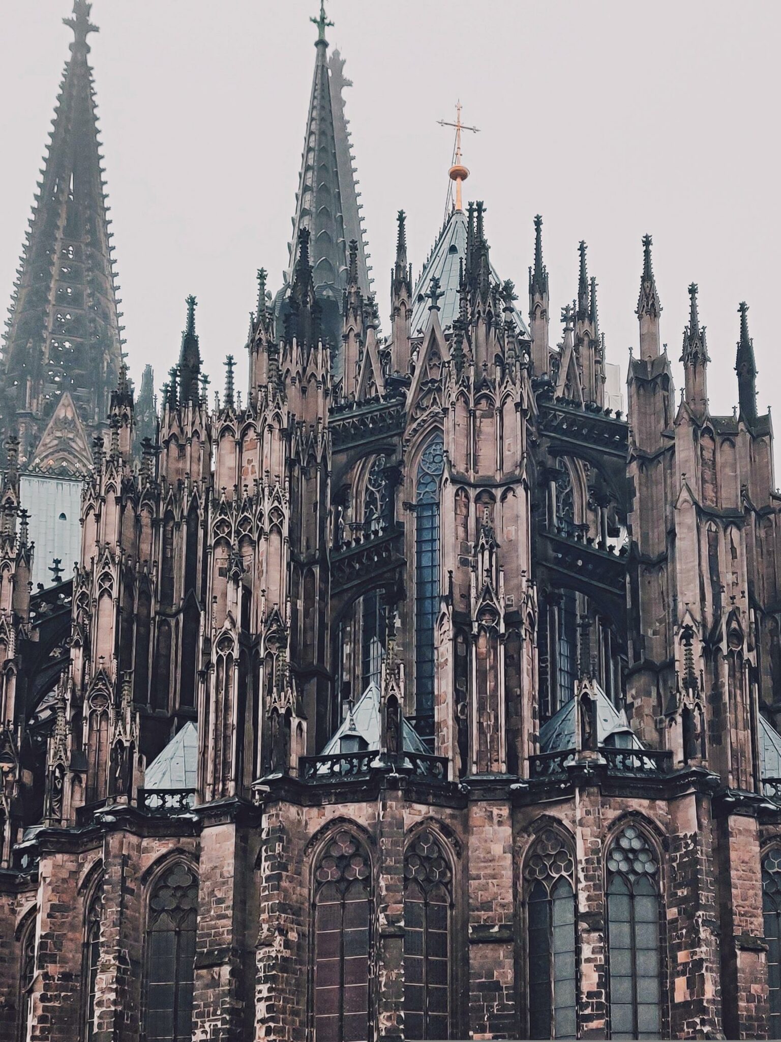 University Of Cologne In Germany - Study At University
