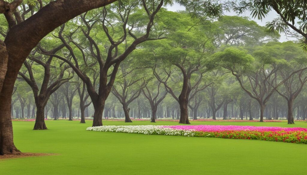 Explore Pondicherry University in India Now